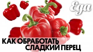 Как обработать сладкий перец