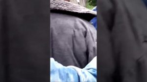 В Новосибирске цыгане захватывают заброшенные дома