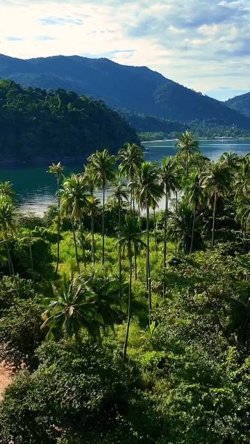 📍 Thailand #таиланд #вода #пальмы #небо #природа Стиль 🔥 Лайк/подписка!