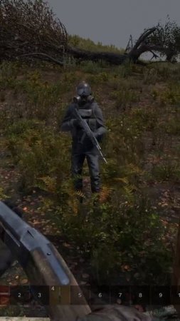 Порция Советов для Новичков в Stalker RP