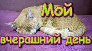 Закончил забор. Поставил карбюратор. Выходной. (06.25г.) Семья Бровченко