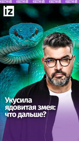 Спасти жизнь за 23 секунды: действия при укусе ядовитой змеи / «Знаете ли вы, что?»