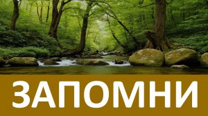 ЗАПОМНИ три слова, которые тебе Помогут - преподобный Паисий Величковский