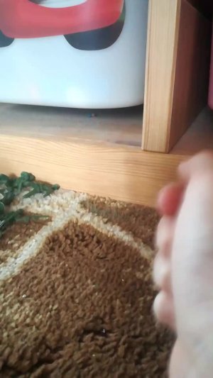10 команд против друг друга (новая рубрика)