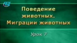 Миграции животных # 7. Миграции на суше