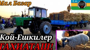 10-06-2025 СКОТНЫЙ РЫНОК -МАЛ БАЗАР 🐐