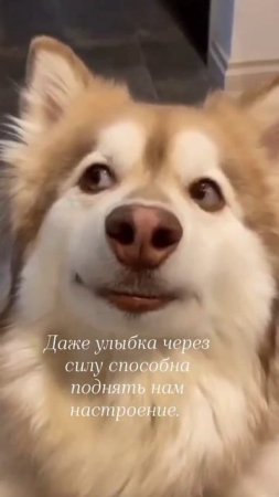 Что происходит когда перестаём смеяться???