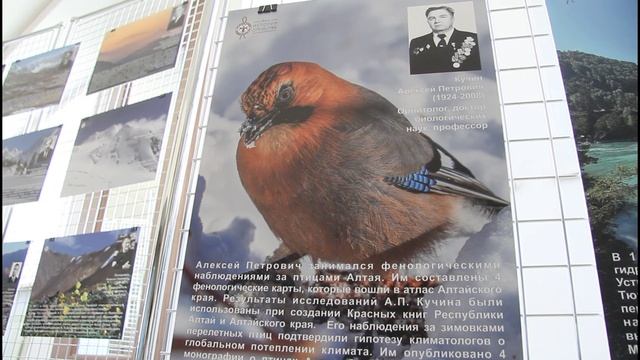 Выставка: «Исследователи Алтая – страницы истории»