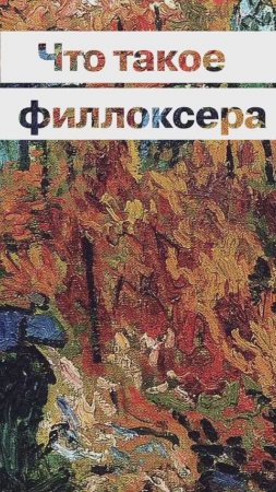 Кто такая филлоксера?