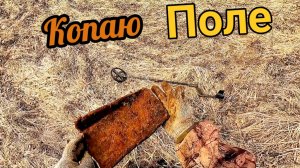 Копаю металл на старом поле, сигналы глубокие!
