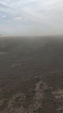 Донские поля превращаются в пыль. Катастрофа на Дону: Поля в пыли, угроза — всем нам