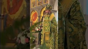 Проповедь епископа Павлово-Посадского Силуана в День Святой Троицы. 08.06.2025