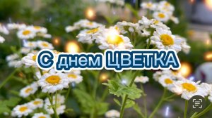 С днем цветка. 21 июня международный день цветка