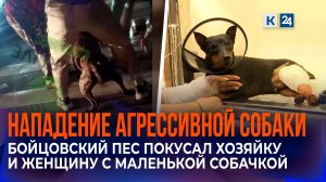 Бойцовский пес напал на женщину с маленькой собачкой в Краснодаре