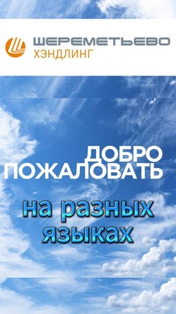 Добро пожаловать в Шереметьево Хэндлинг