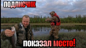 Удочка и СПИННИНГ. СУПЕР КЛЁВ. ФОРЕЛЬ, ЩУКА, ОКУНЬ.