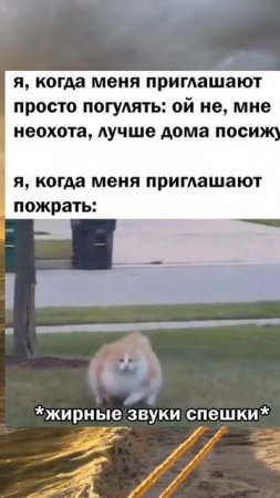Юмор
