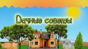 Дачные советы Галины Старосельцевой Июнь 06-2025