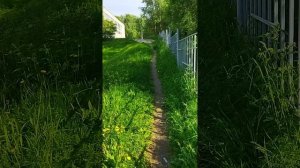Дорога до школы