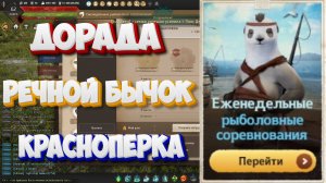 Black Desert. Рыболовные соревнования. 09--15.06 2025. Дорада, Речной бычок, Красноперка.