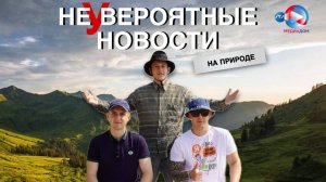 #неУвероятные_новости выпуск №4