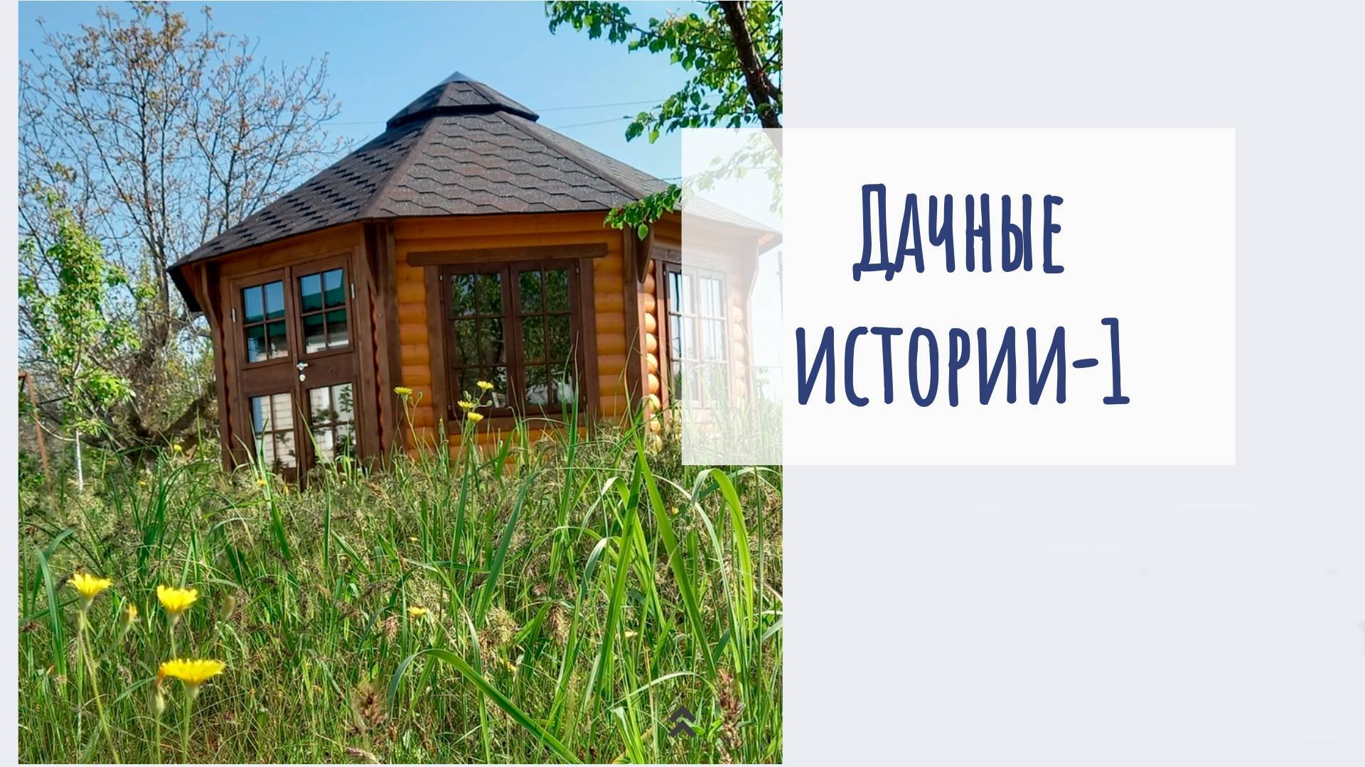 Дачные истории-1. Про аромо палочки, летучую мышь, гнездо шершней, жгут и цветы.