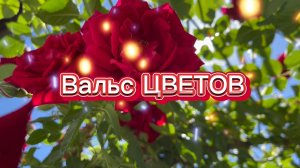 Вальс цветов. С днем цветка