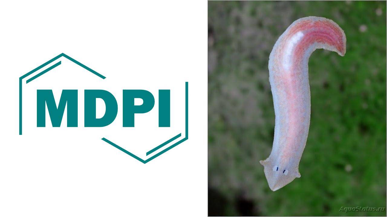 Странная неэффективность математики в биологии