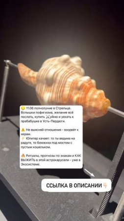 🌕ПОЛНОЛУНИЕ В СТРЕЛЬЦЕ🌕