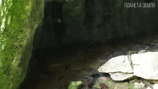 Южные Карпаты Трансильванские Альпы  Интересные факты про Южные Карпаты