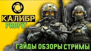 PROFIT ™ Калибр Stream V 1.0 #1 День