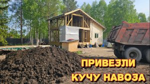 Теперь аромат стоит по всему СНТ/привезли кучу навоза/начинаем делать теплицу.