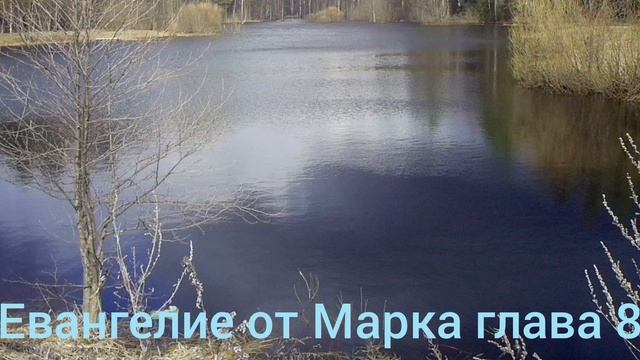 Библия Евангелие от Марка глава 8