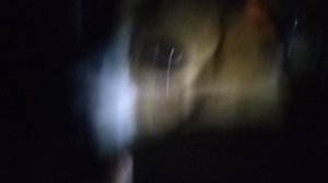 Помешали в лес и вернулся