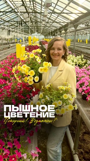 🌸 Как добиться пышного цветения у Петуний?