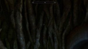 Мысли Довакина. #139 Просьбы Нелота. TES V Skyrim