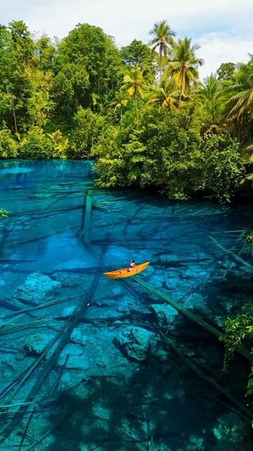 📍Paisupok Lake, Banggai Kepulauan Regency, Indonesia #индонезия #вода #пальмы #природа