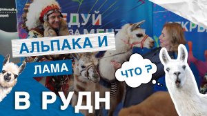 Неделя культуры стран Латинской Америки