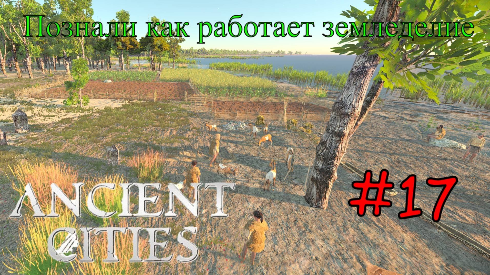 Ancient Cities - Племя которое не будет голодать #17