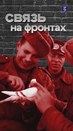 Редкие профессии ВОВ