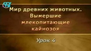 Вымершие млекопитающие # 4. Ранние плацентарные млекопитающие