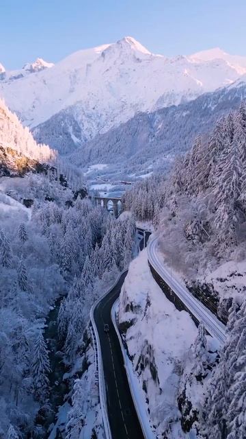 📍Alps #горы #снег #лес #природа Стиль 🔥 Лайк/подписка!