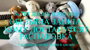 Обезьяна зашла. Кому достанется? Распаковка шоппинга. Наши собачки чихуахуа. № 787 Жизнь в Англии