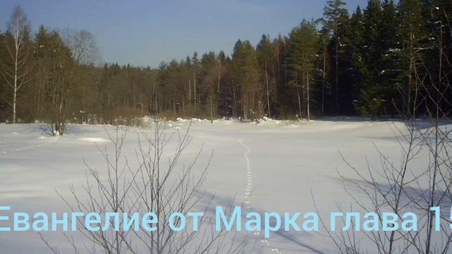 Библия Евангелие от Марка глава 15