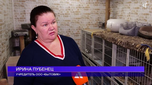 КАК ПОМОЧЬ «БЫТОВИКУ»?, 10.06.2025