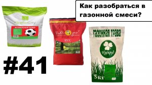 Газонные смеси. Обзор.