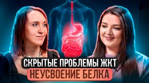 Как усваивается белок и почему это так важно для здоровья ЖКТ
