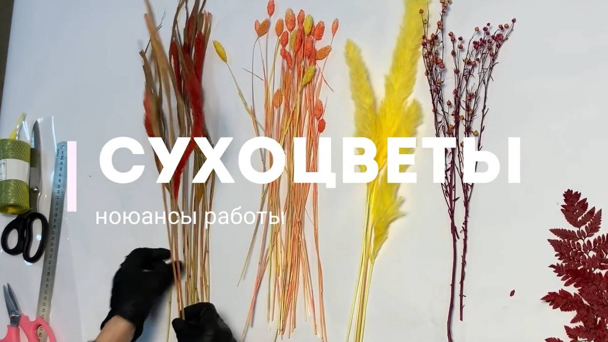 Сухоцветы_ нюансы работы