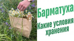 Какие условия хранения Барматухи?