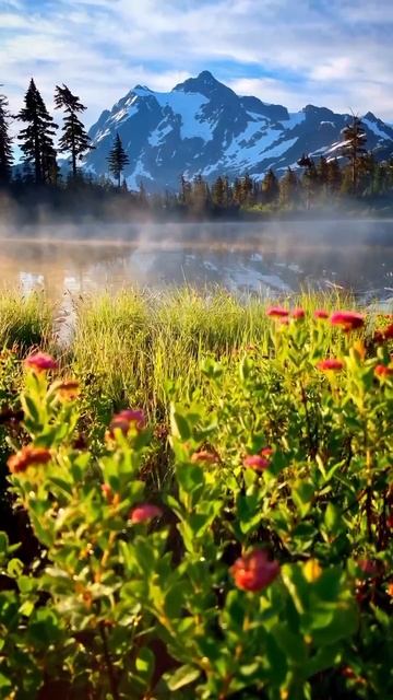 📍Washington, USA #сша #горы #вода #лес Стиль 🔥 Лайк/подписка!